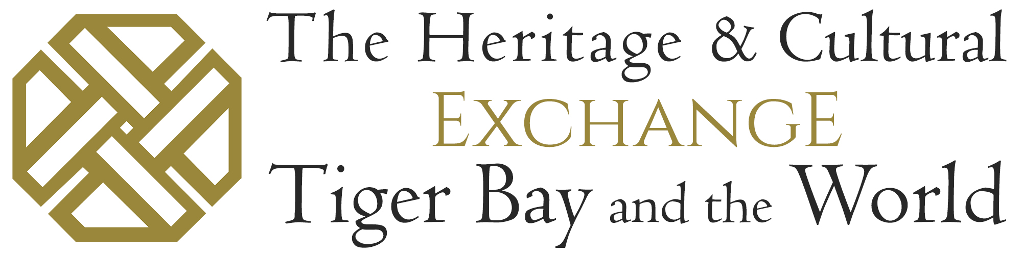 Colin Dixon : Rugby Codebreakers